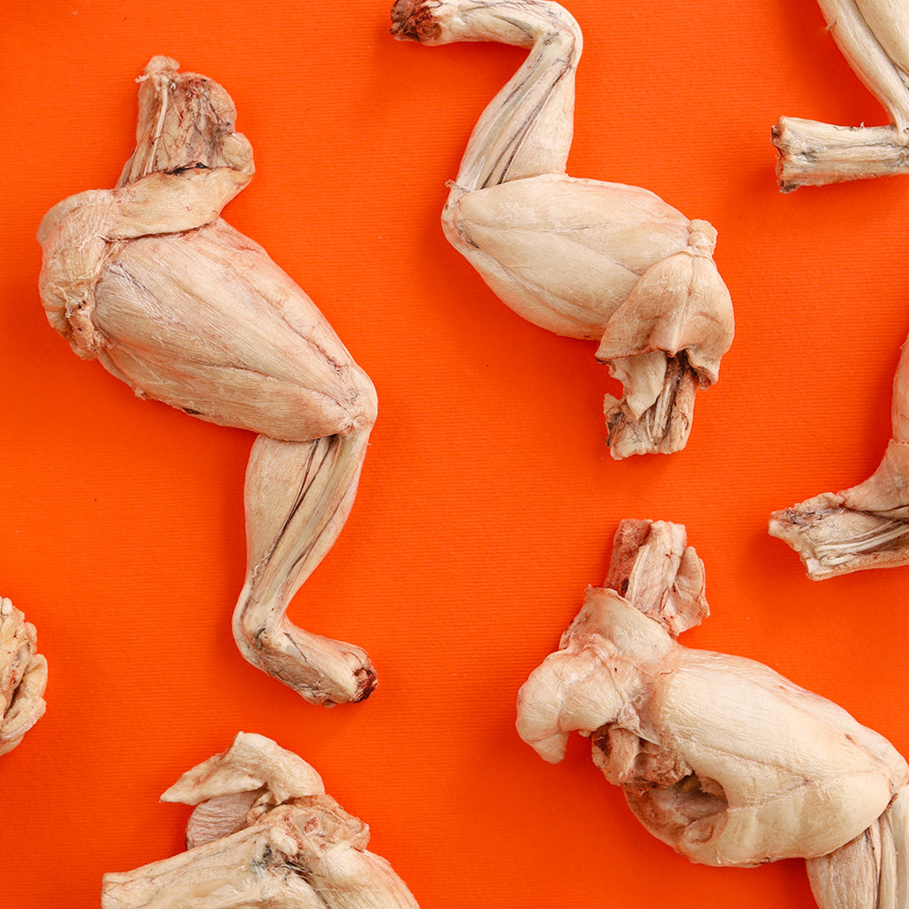 Bullfrog Leg Freeze-dried Treats | Healthy Dog Treats