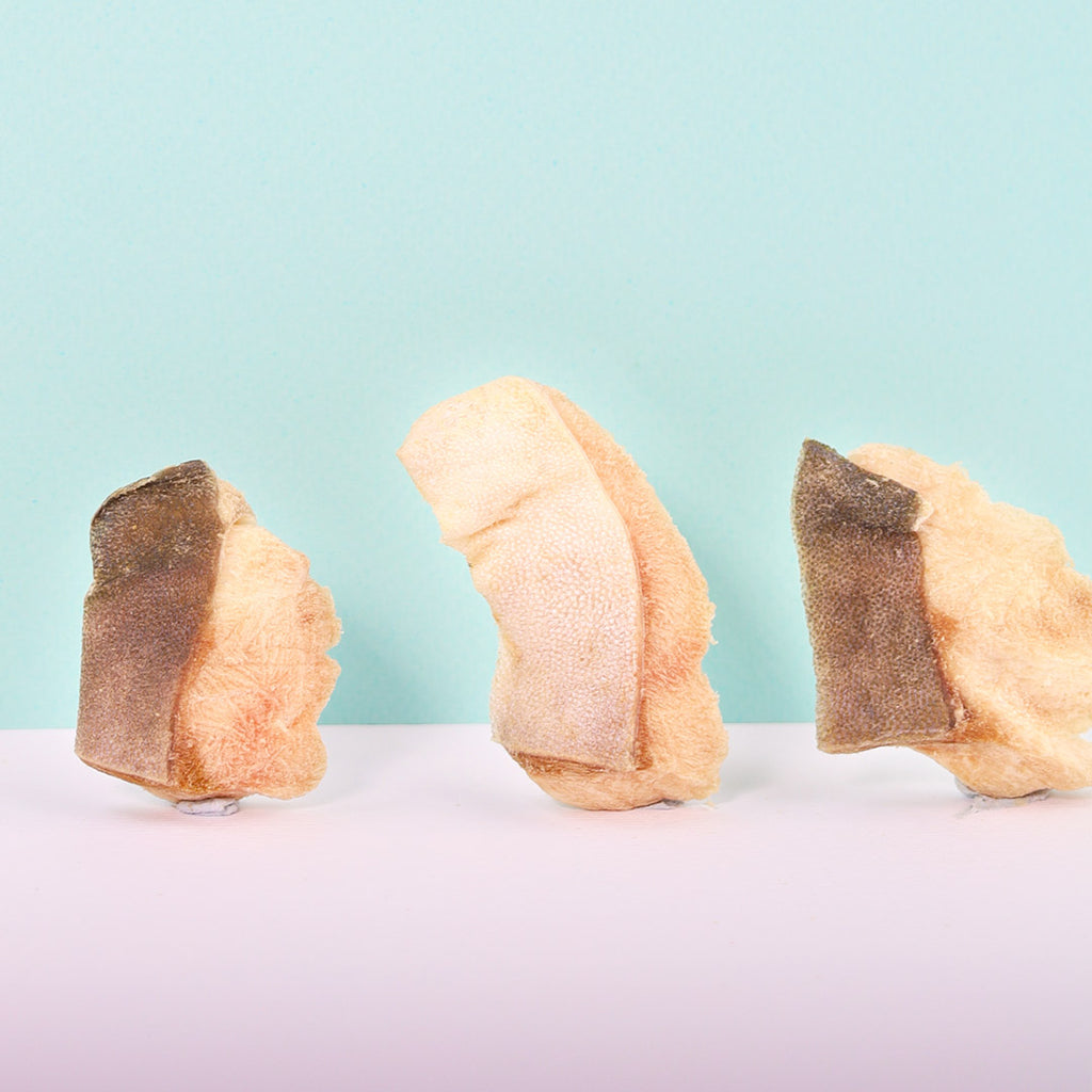 Golden Pomfret Freeze-dried Treats | Protein Pet Treats